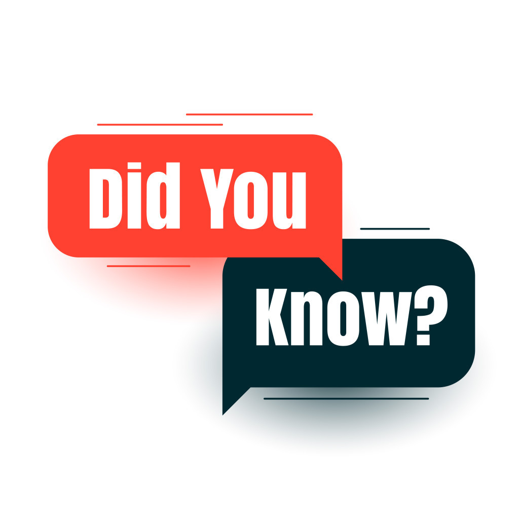 Fun Facts About Hindi Shabdkosh